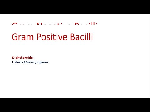 How to Pronounce Gram Positive Bacilli Listeria Monocytogenes
