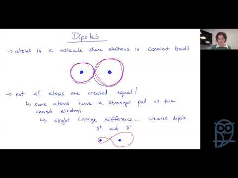 Live Lesson: AS Biology - Polar and Non-Polar Molecules