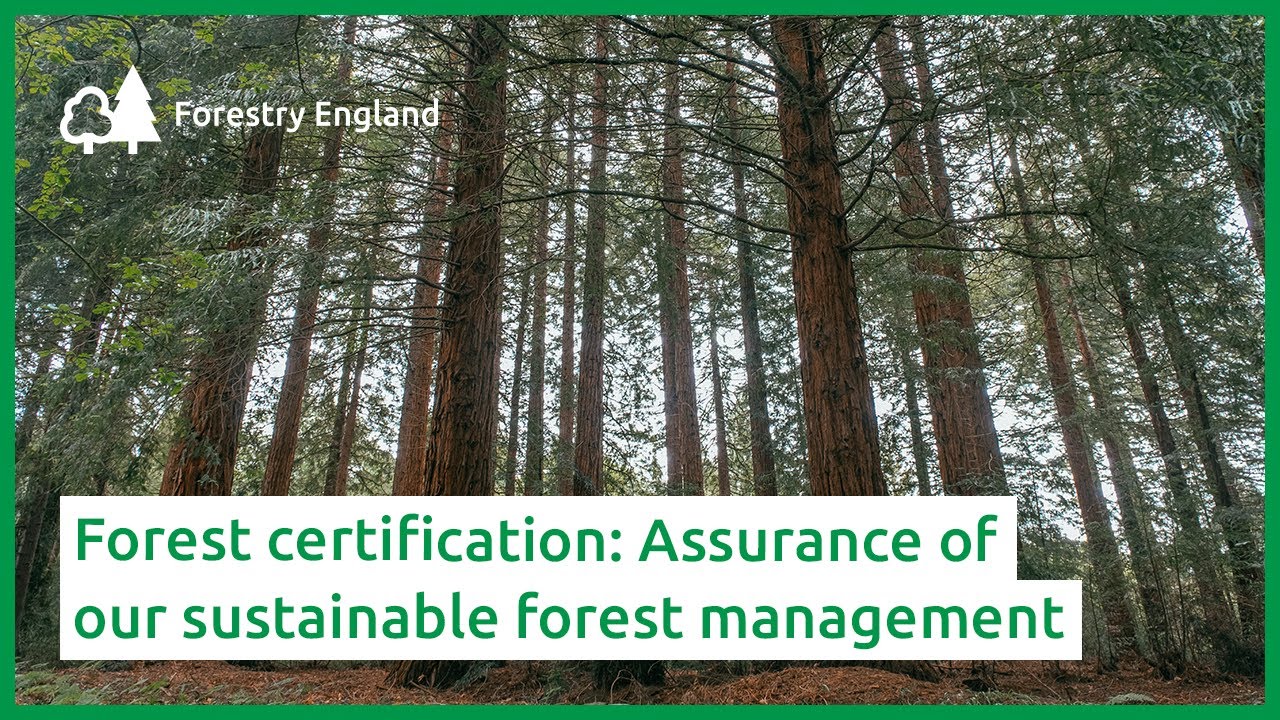Forest certification: Assurance of our sustainable forest management