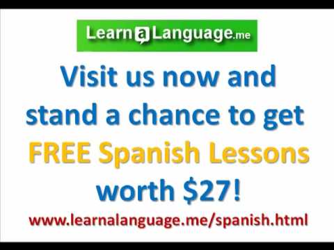 How do you say Cat in Spanish?