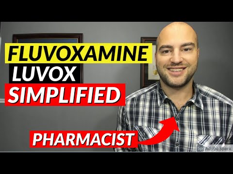 Antidepressant Tablet - Antidepressant Pill Latest Price, Manufacturers ...