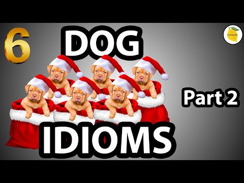 Dog Idioms - Part 2 | Most Common English Idioms (Easy to Use in Daily Conversations) | #27