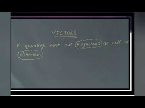 what are scalar and the vector quantities?