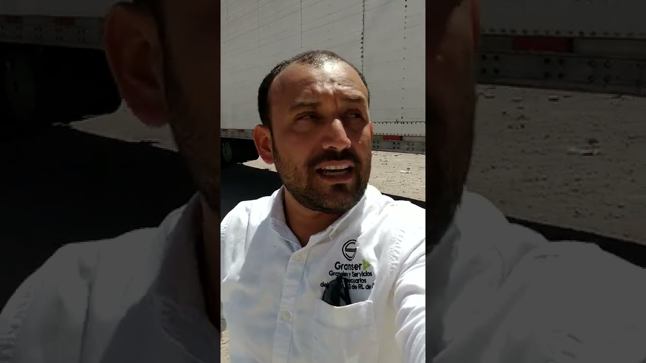 Maíz blanco cosecha 2021