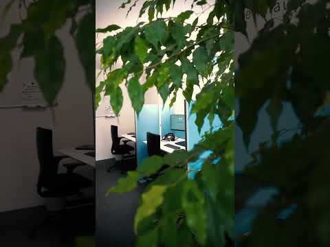 Werfe einen Blick in eines unserer Beratungsbüros bei Schlenotronic IT-Systemhaus! 🏢💼