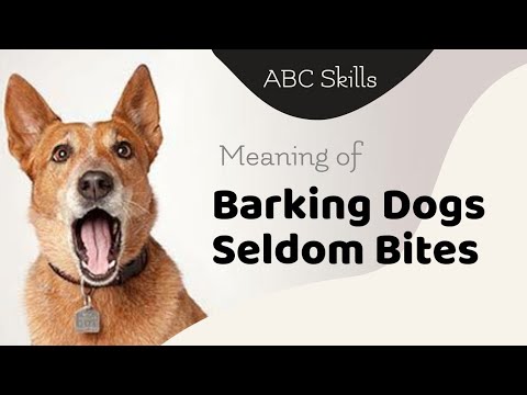 Meaning of "barking dogs seldom bite" in hindi.