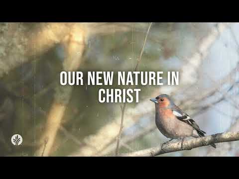 Our New Nature In Christ | Audio Reading | Our Daily Bread Devotional ...