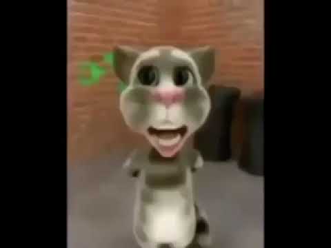 My talking Tom says thank you jesus ahhhhhh