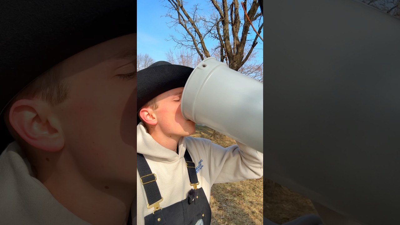 What does maple sap taste like?