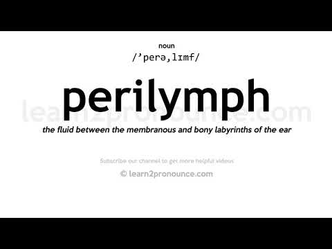 Pronunciation of Perilymph | Definition of Perilymph