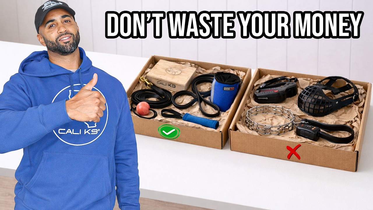The Only Dog Training Items You Should Buy!