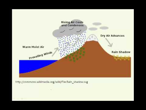 Biomes