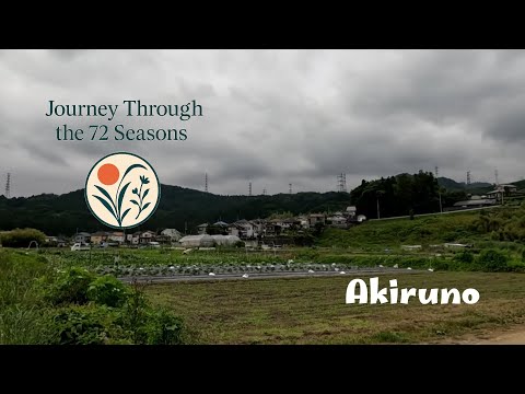 Akiruno Countryside Walk | Japan’s 72 Seasons Nature Walk | Mugi no Toki Itaru (麦秋至)