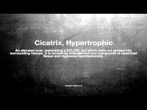Medical vocabulary: What does Cicatrix, Hypertrophic mean