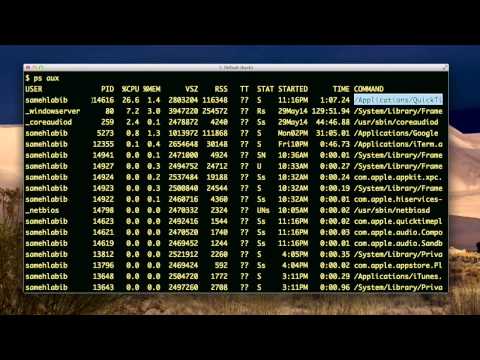 kill (process basics in unix)