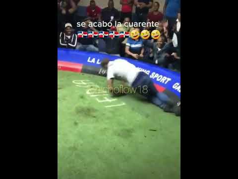 Gallero Dominicano