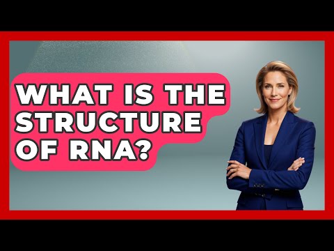 What Is The Structure Of RNA? - Biology For Everyone