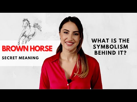 Brown Horse - What Is The Symbolism Behind It?