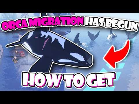 I Caught *NEW ORCA* In Roblox FISCH | How To Get Orca (Roblox Fisch)