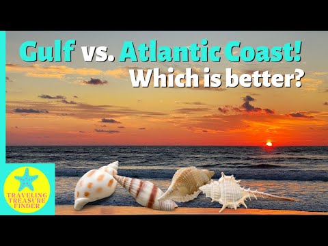 Is beachcombing better on the Atlantic Coast or the Gulf of Mexico? Let's take a look!