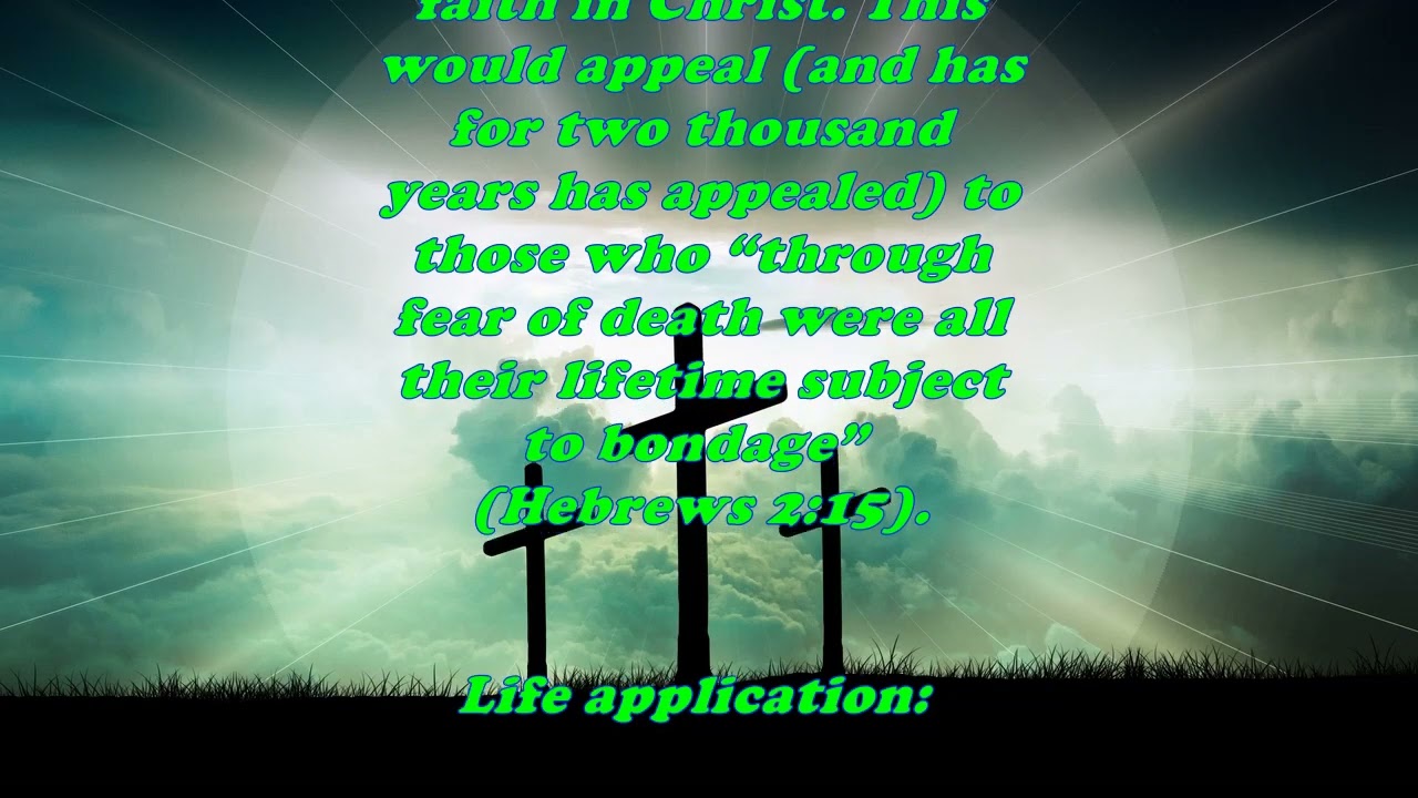 Daily Bible Verse Commentary  -  Acts 16:5