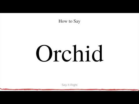 How to Say Orchid | Pronounce the Word "Orchid" Properly