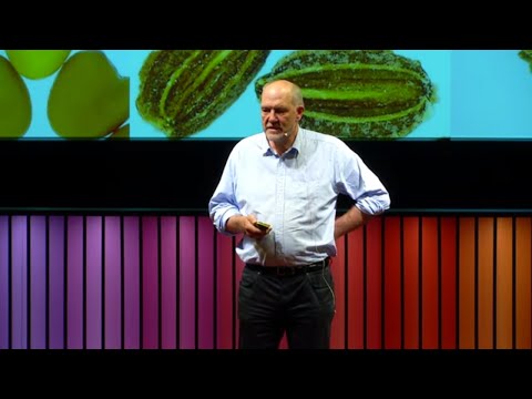 What is biodiversity and why does it matter to us? | Åsmund Asdal | TEDxVerona