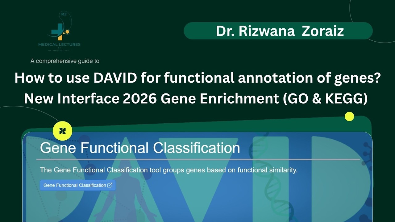 How to use DAVID for functional annotation of genes? New Interface 2026 Gene Enrichment (GO & KEGG)