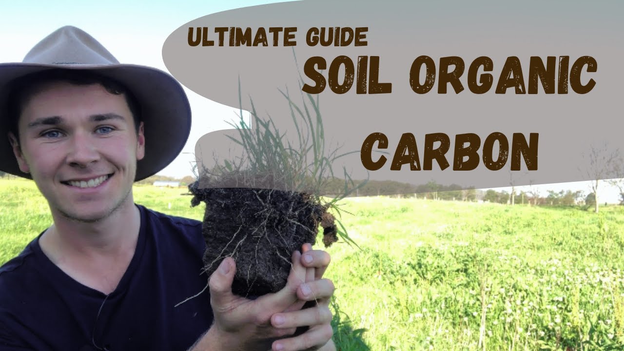 Soil Organic Carbon - Everything You Need To Know