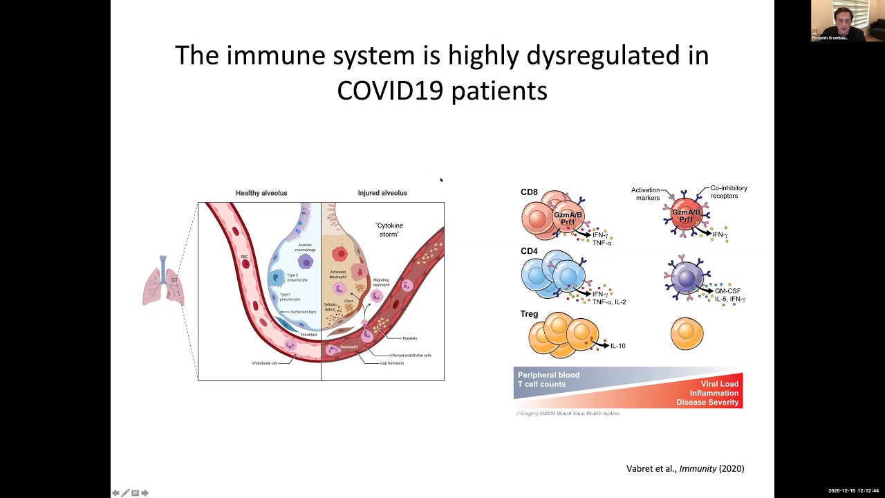 CRRG Webinar: Immune interactions and SARS-CoV-2 Evolution