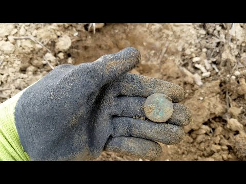Another bucket list coin! Draped bust large cent