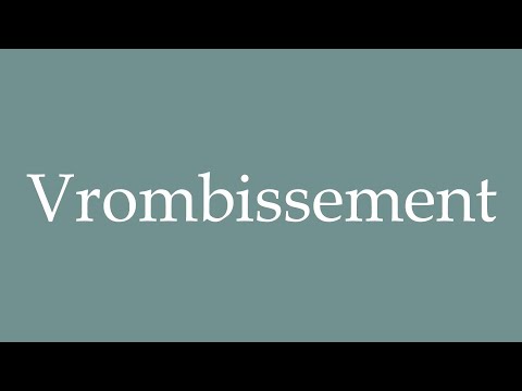 How to Pronounce ''Vrombissement'' (Whirring) Correctly in French