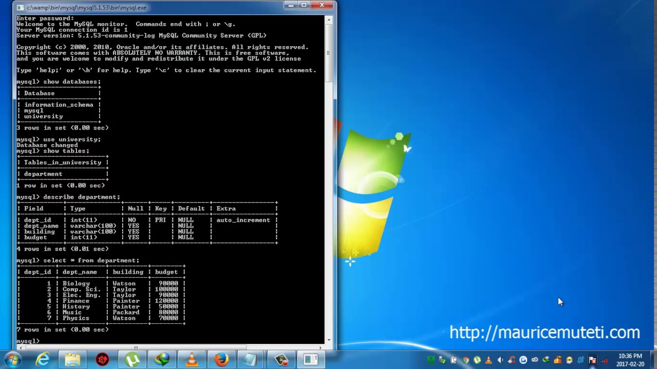 Structured Query Language Tutorial SQL Part 11   OR Operator Command Prompt   Console