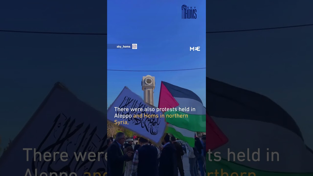 Syrians protest against discriminatory Israeli death penalty law