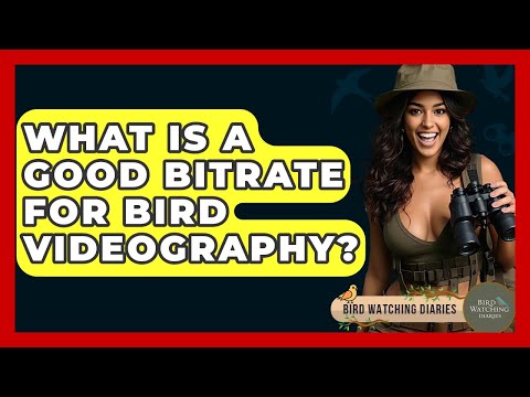 What Is A Good Bitrate For Bird Videography? - Bird Watching Diaries
