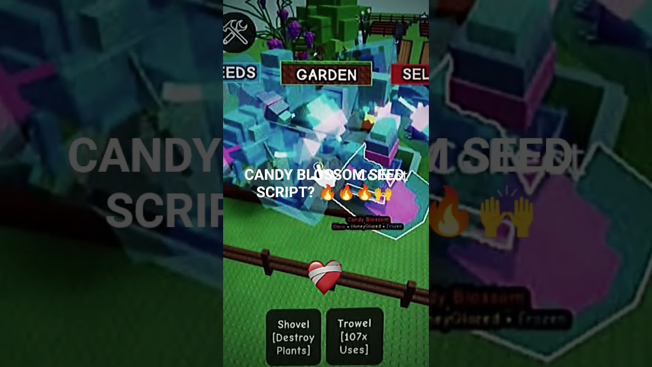 [NEW] GROW A GARDEN CANDY BLOSSOM OLD SERVER SCRIPT NO LAG JUNE 2025 RACCOON DUPE SPAWN NO KEY