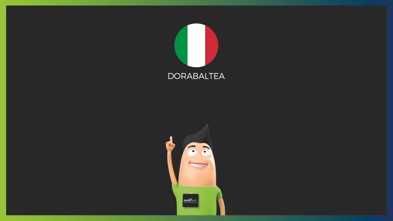 DORABALTEA SAV | Coaching-kit for focal actors in PCSs