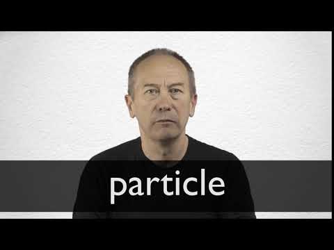 PARTICLE - Meaning & Translations | Collins English Dictionary