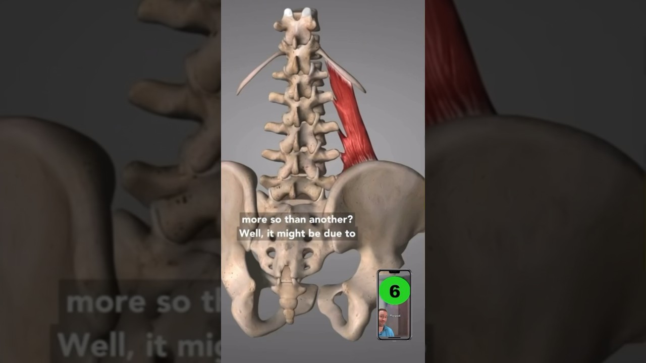 How To Fix A TIGHT Low Back!🤯