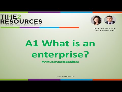 A1 What is an enterprise?