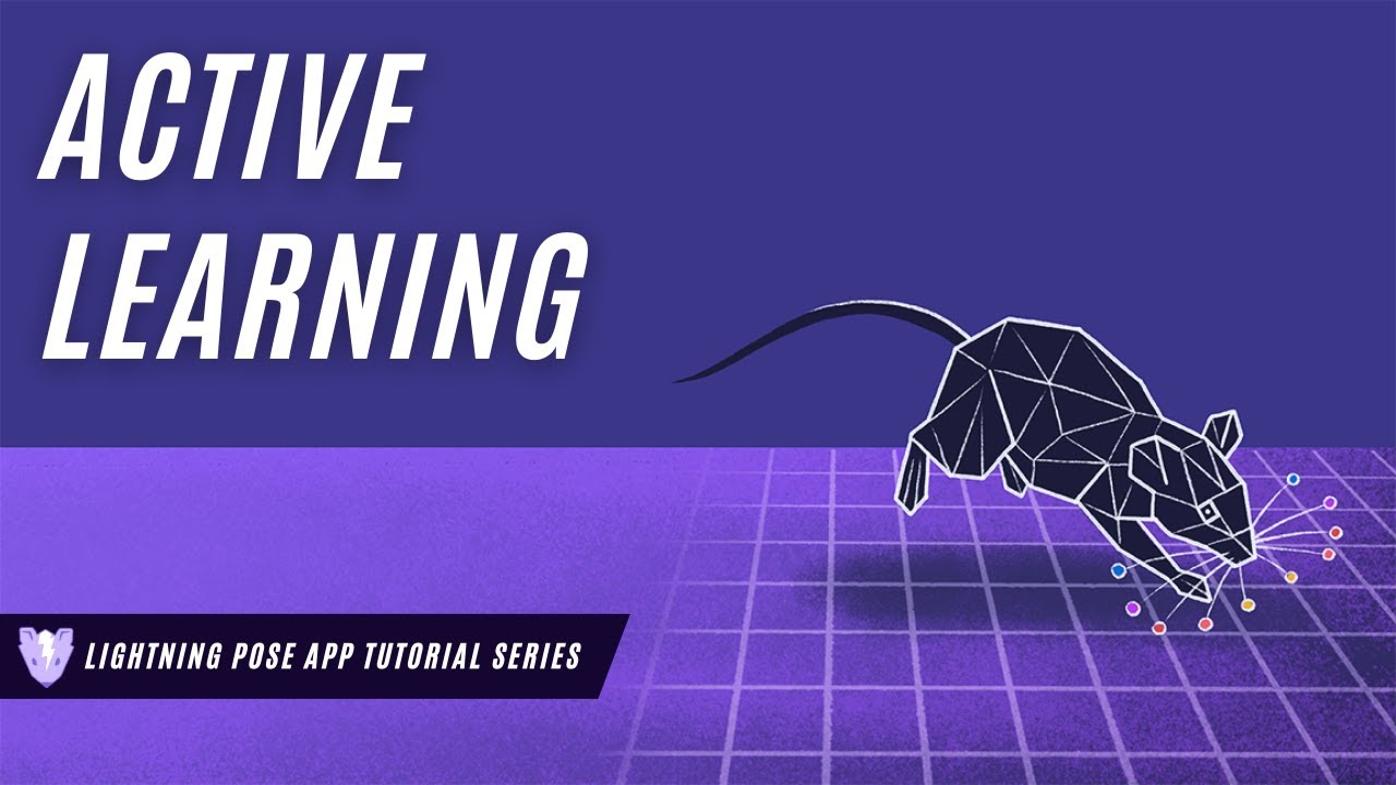 Lightning Pose App - Active Learning