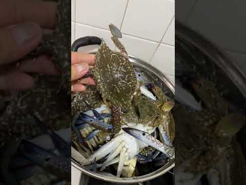 ALIMASAG | #bigcrab You know how much this much??? | So Yummy so juicy #crab#Shorts