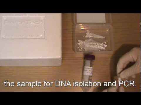 EduPrimer DNA Profiling Kit