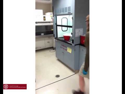 The Difference Between Fume Hoods and Biosafety Cabinets