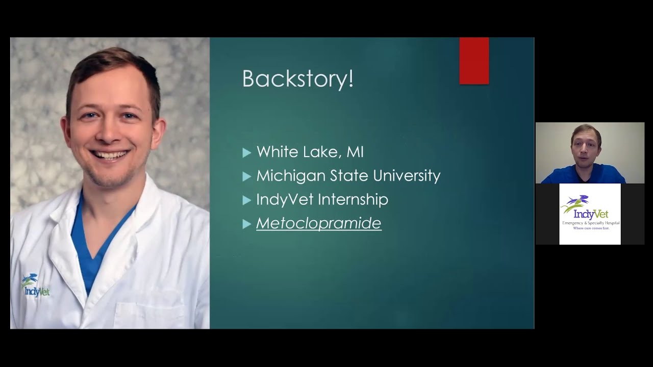 Calculations and Setup for Constant Rate Infusions | Continued Education