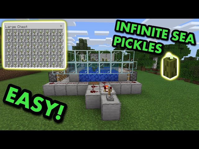 How to farm sea pickles in Minecraft