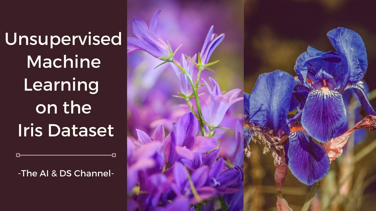 Unsupervised machine learning on the Iris dataset | Machine Learning Projects video 6