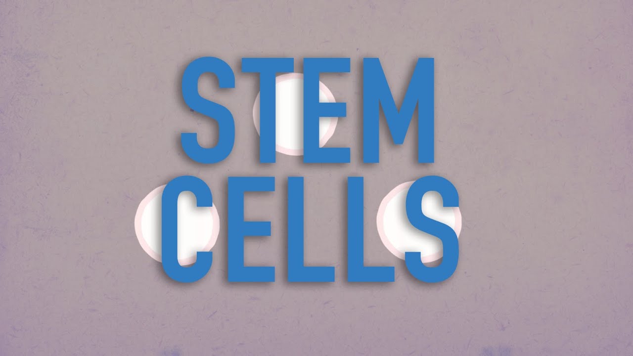 The Power of Stem Cells Explained | Lab Life