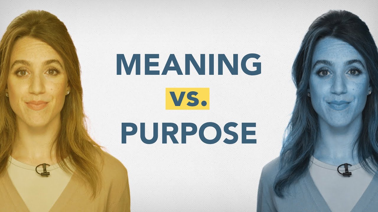 Meaning vs. Purpose
