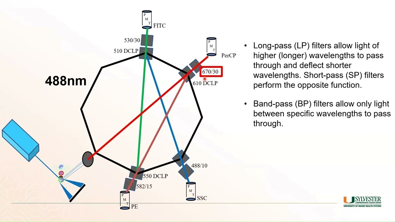 Flow Cytometry